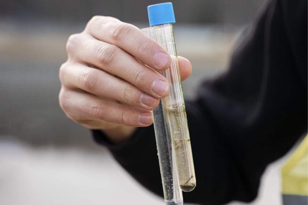 Why are Water Quality Standards Important? | Rayne Water