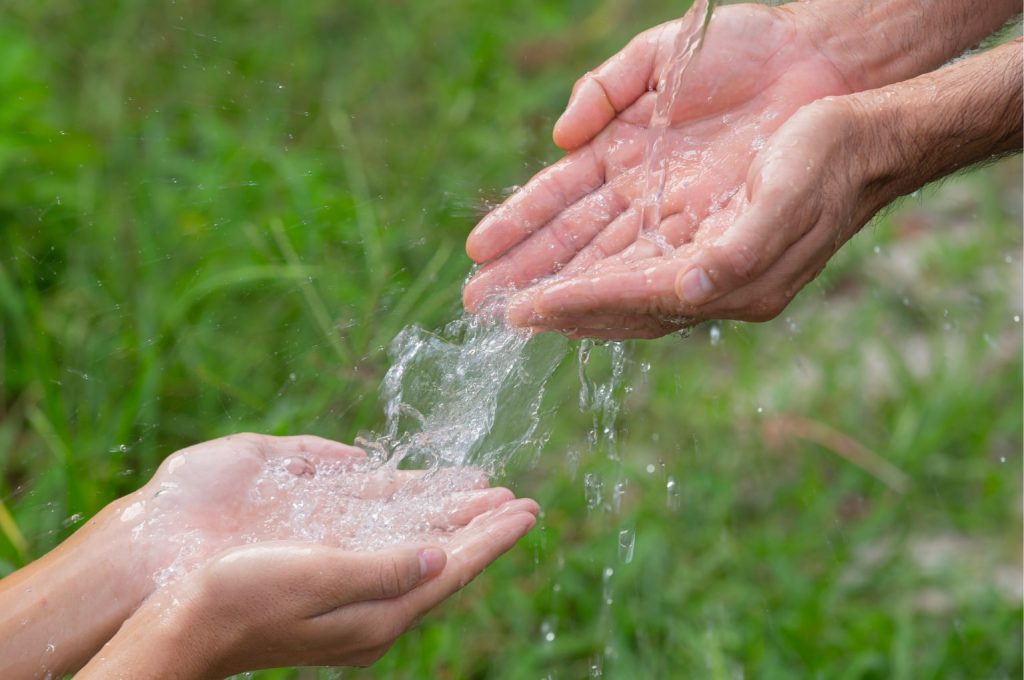 Why are Water Quality Standards Important? | Rayne Water