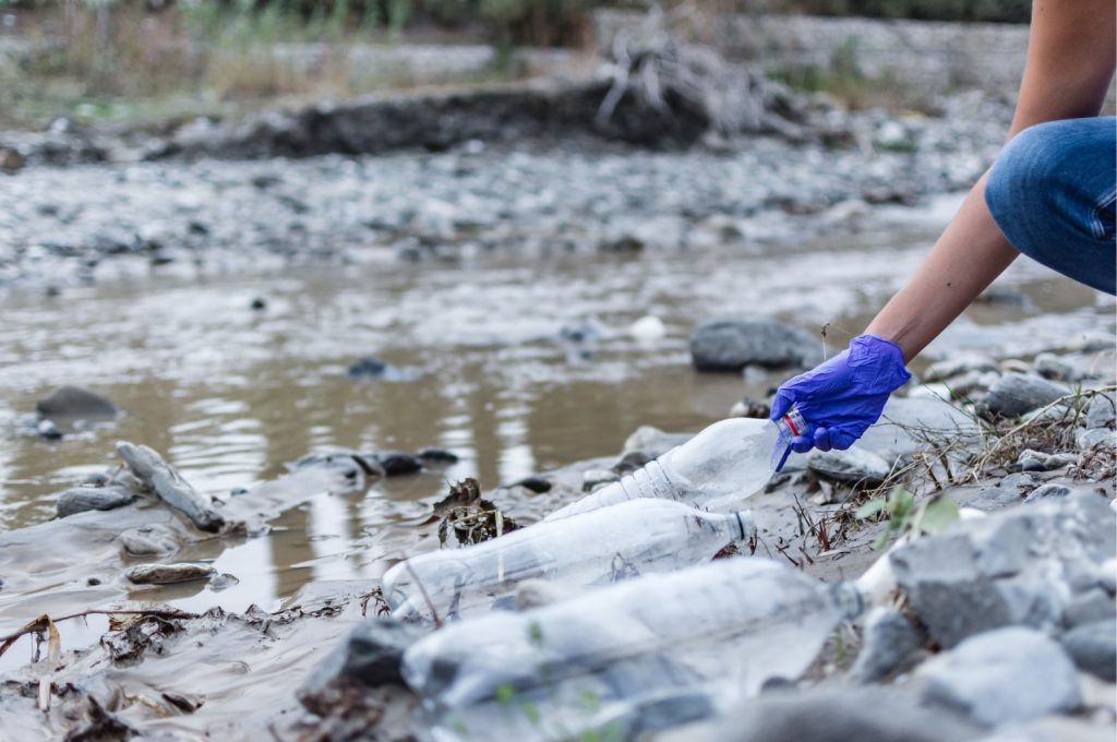 Why Is Water Pollution Bad for Humans and Animals - Rayne Water