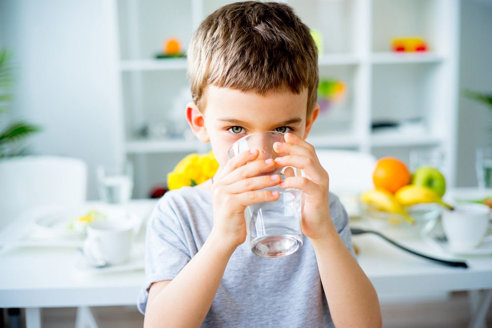 How Much Do Water Filters Cost Rayne Water How Much Do Water Filters Cost Rayne Water