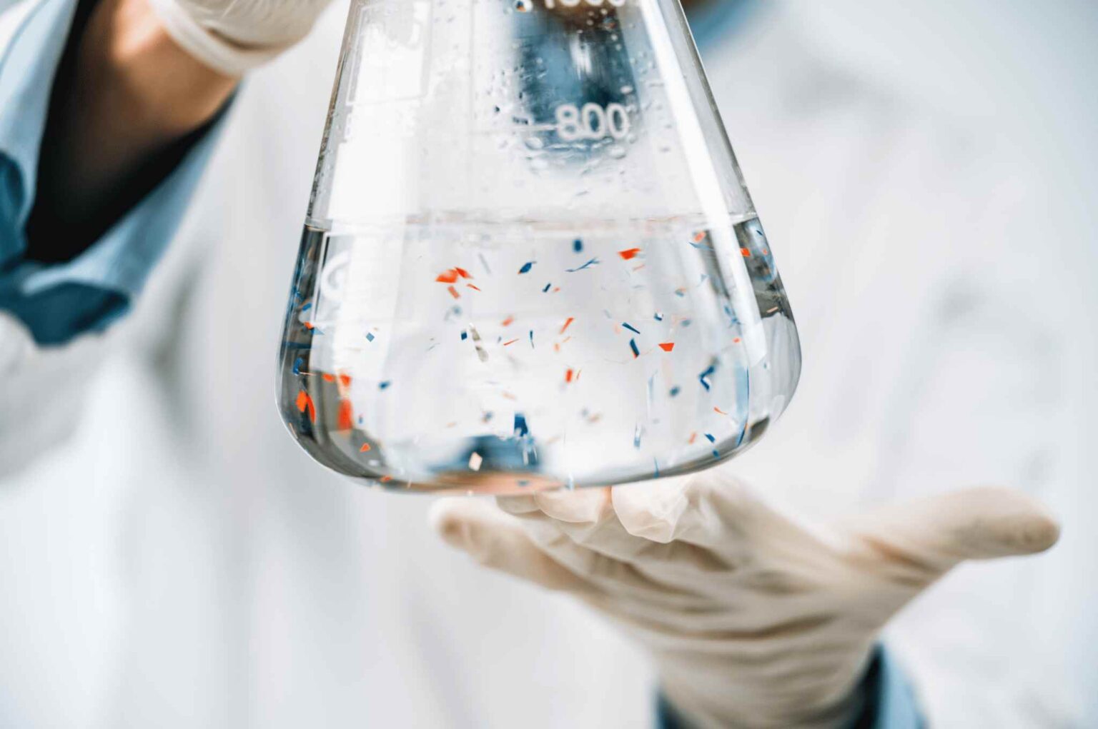 The Increasing Prevalence of Microplastics in Our Bodies | Rayne Water